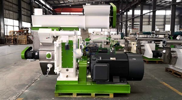 Exactly how to select a paper pellet machine?: Richi Pelletizer